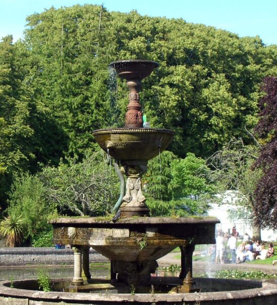 The Donkey Sanctuary | Best Things To Do In Cork | Imperial Hotel