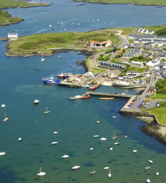 The Donkey Sanctuary | Best Things To Do In Cork | Imperial Hotel