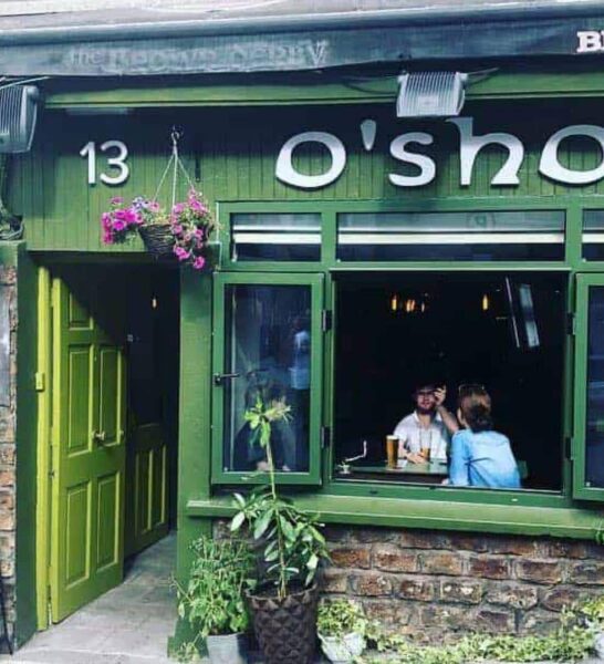 The Donkey Sanctuary | Best Things To Do In Cork | Imperial Hotel