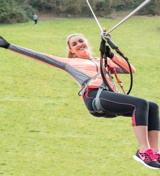 The Donkey Sanctuary | Best Things To Do In Cork | Imperial Hotel